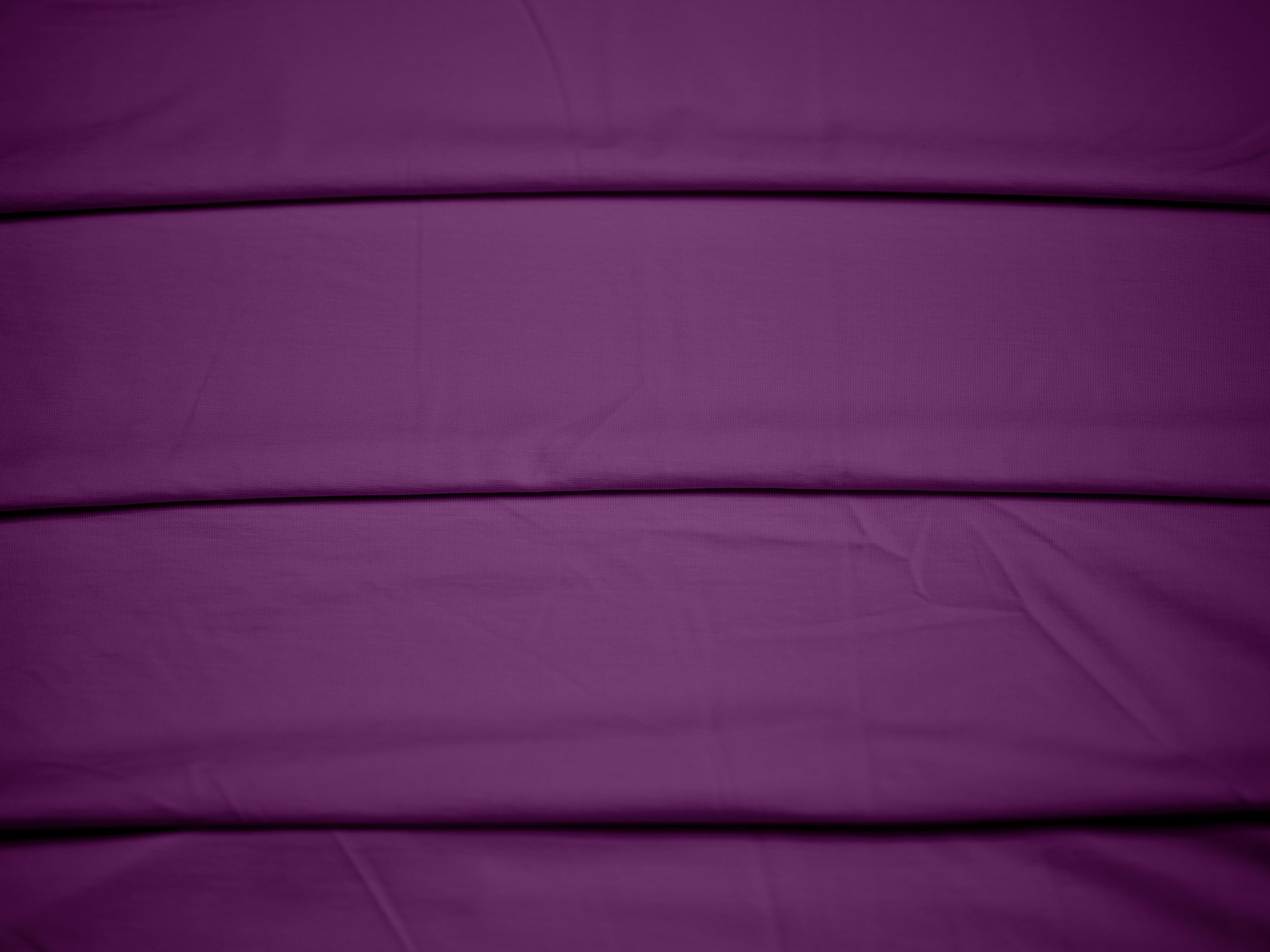 Rib Knit Lycra | Paramount Knitfab