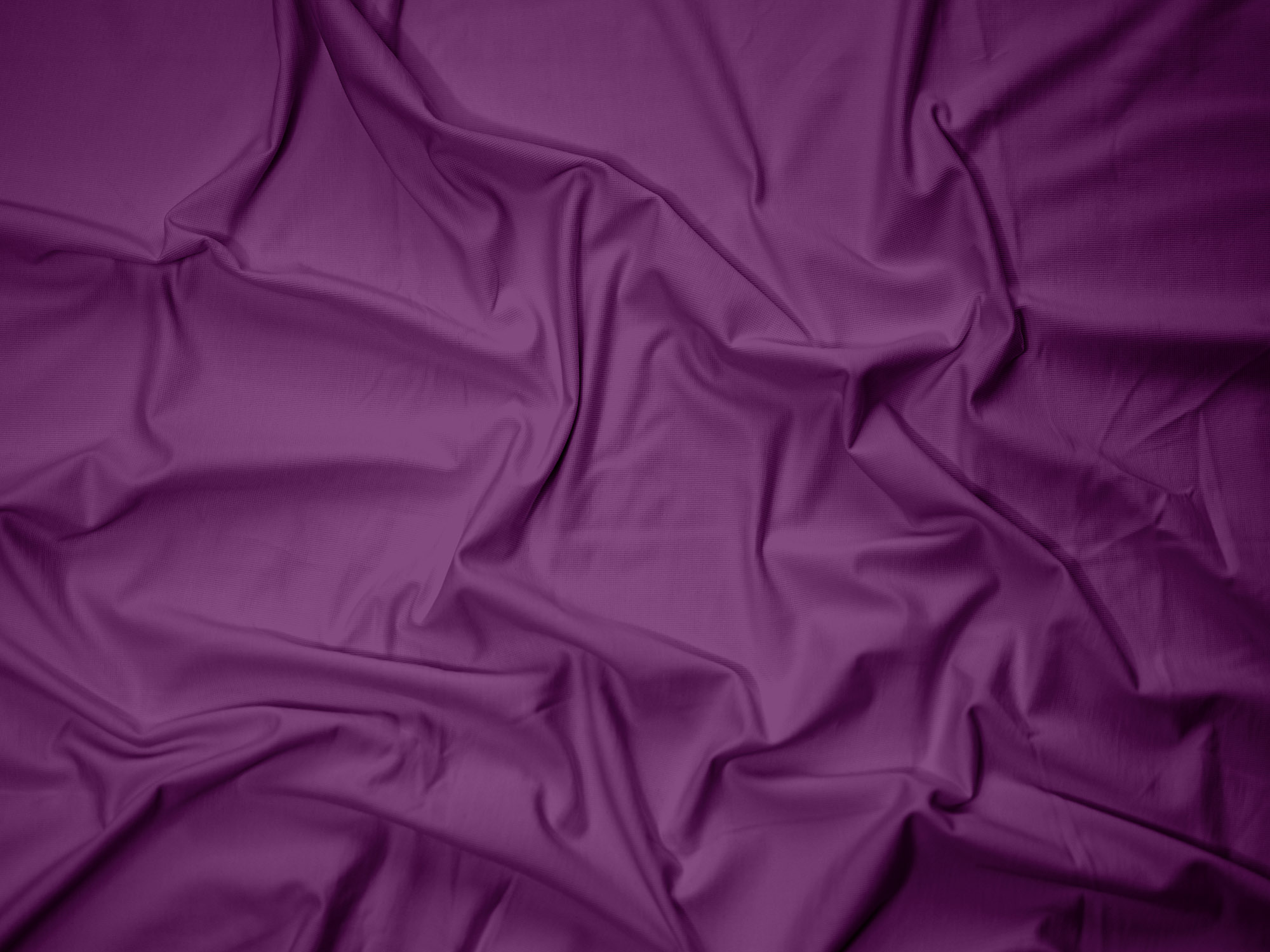 Rib Knit Lycra | Paramount Knitfab