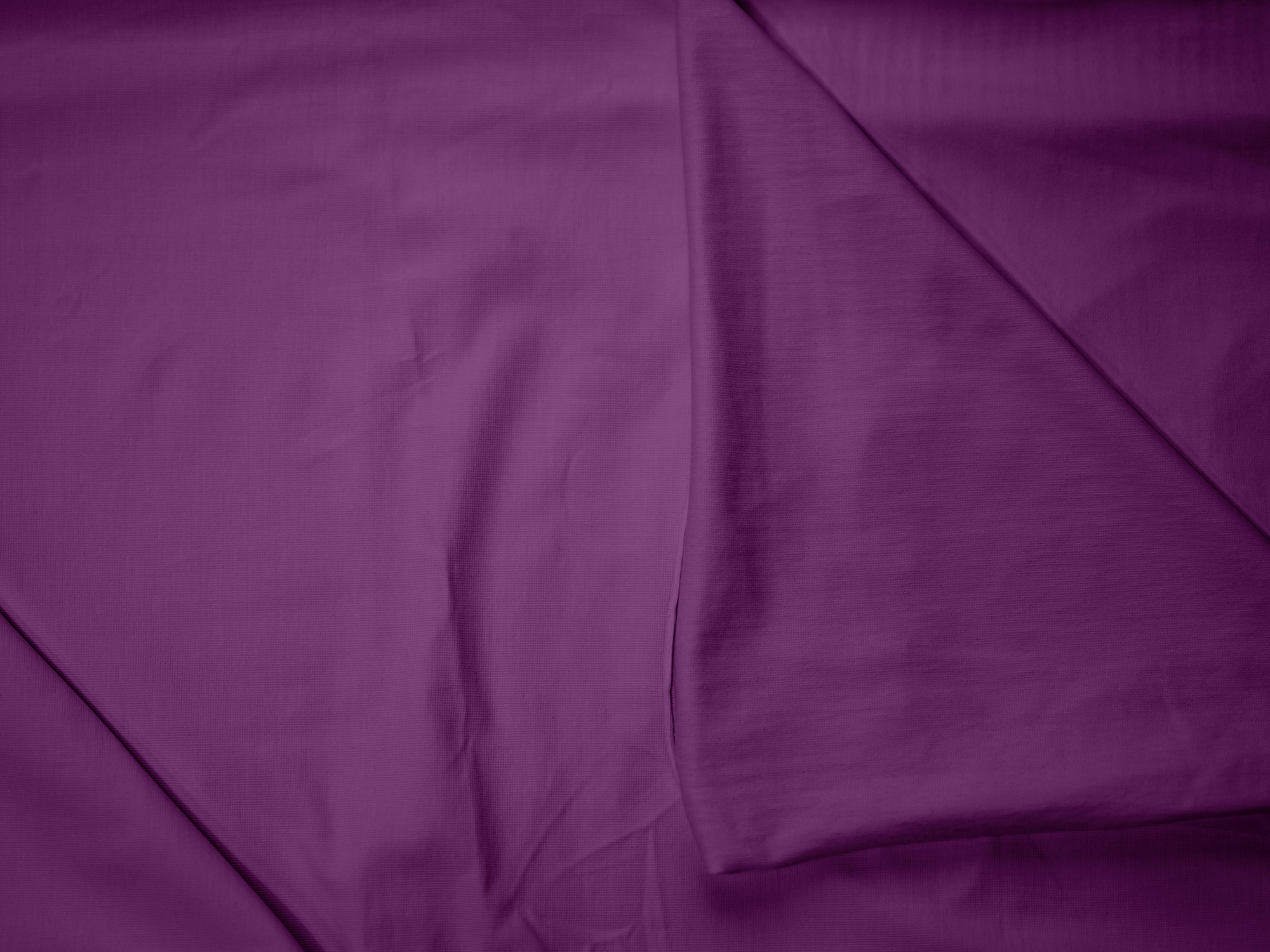 Rib Knit Lycra | Paramount Knitfab